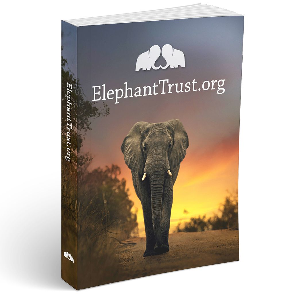 Fastback Paperback Soft Cover Bound Books Kit | Binding101